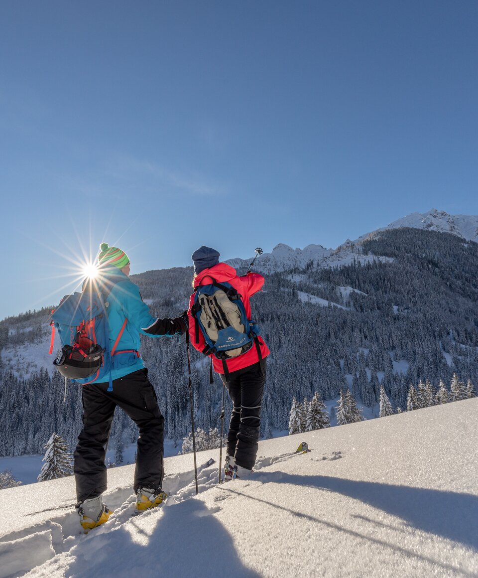 Webcams in the Nassfeld-Pressegger See region| live footage