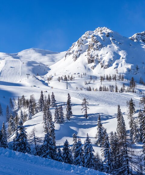 ski resort Nassfeld | experience the winter in Carinthia's mountains