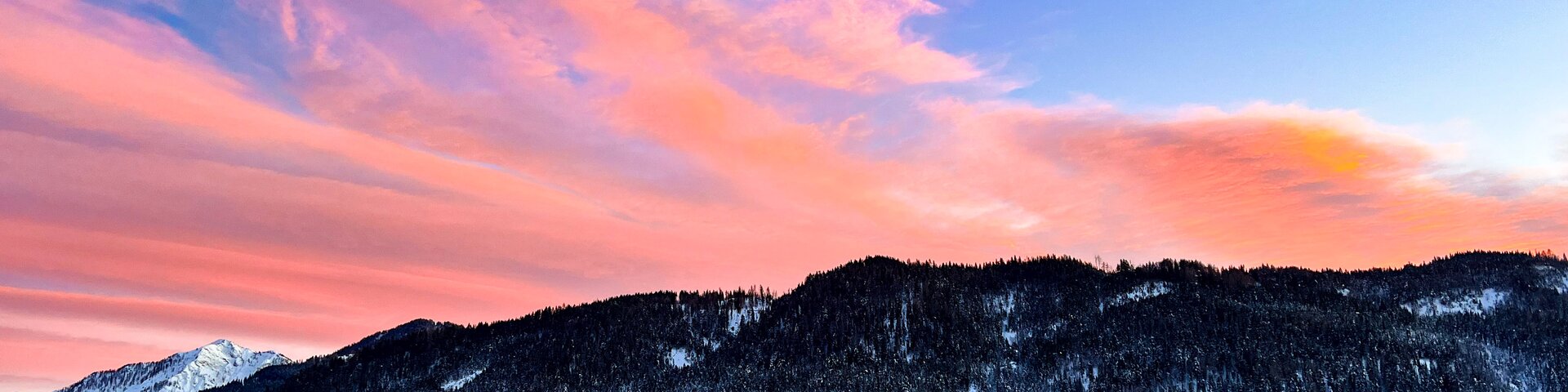 Northern forest path | Nassfeld