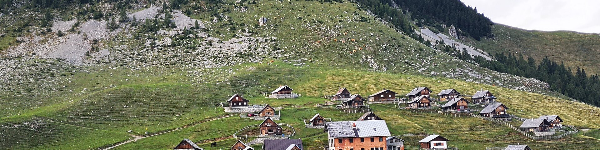 RW_N20 Feistritzer Alm - Oisternig (SBW_1 - Sternbildwanderung)